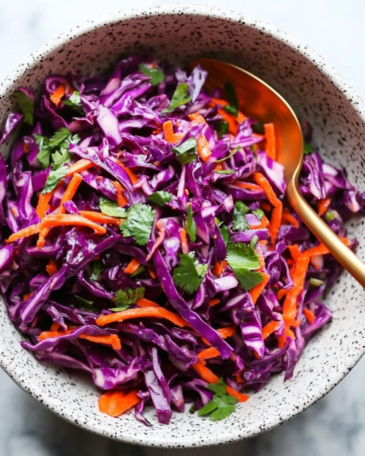 Red Cabbage Slaw Recipe - Emilyscook